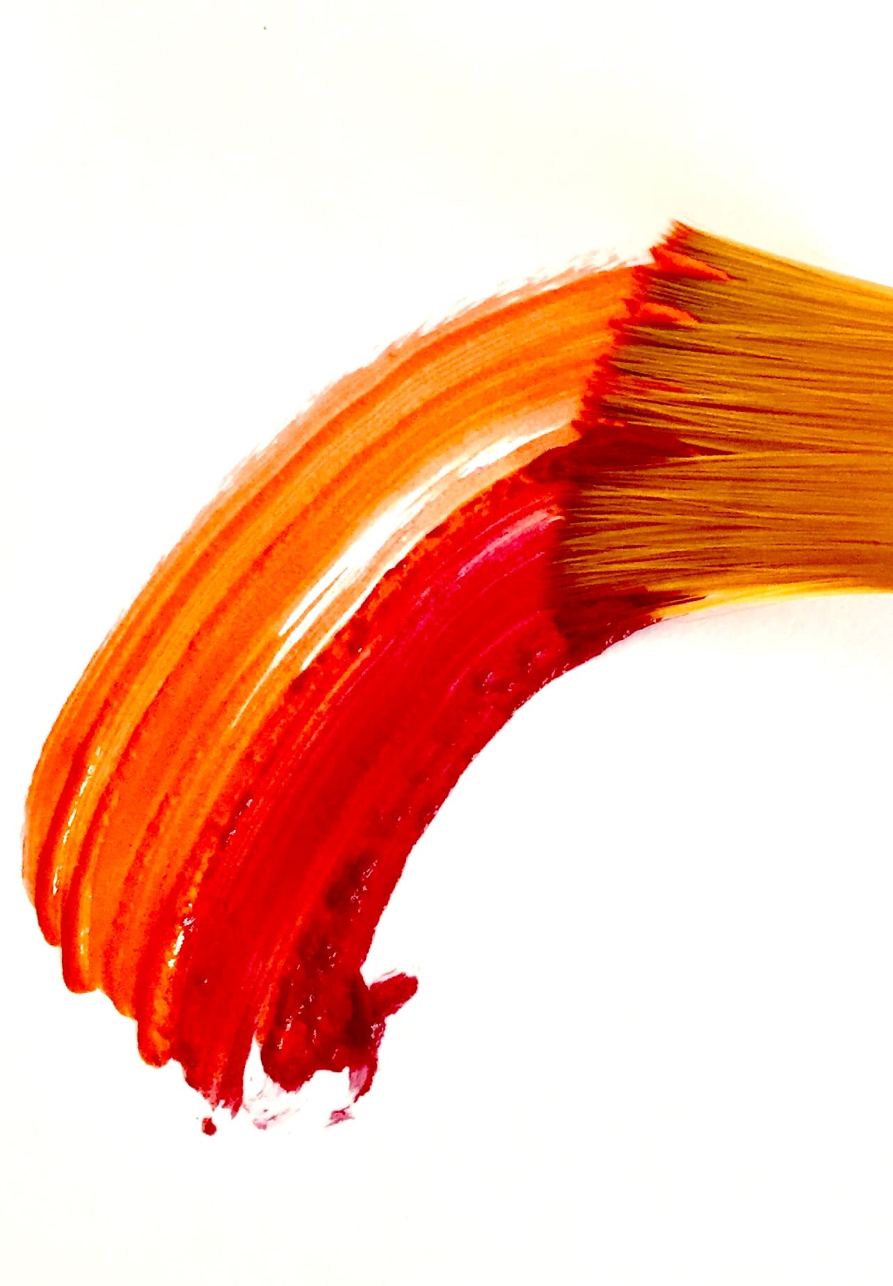 The evocative scent of colors | Stefania Morgante